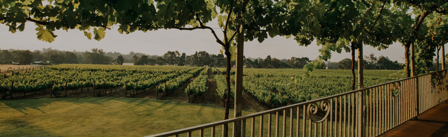 Exploring the Enchanting Capel and Surrounds